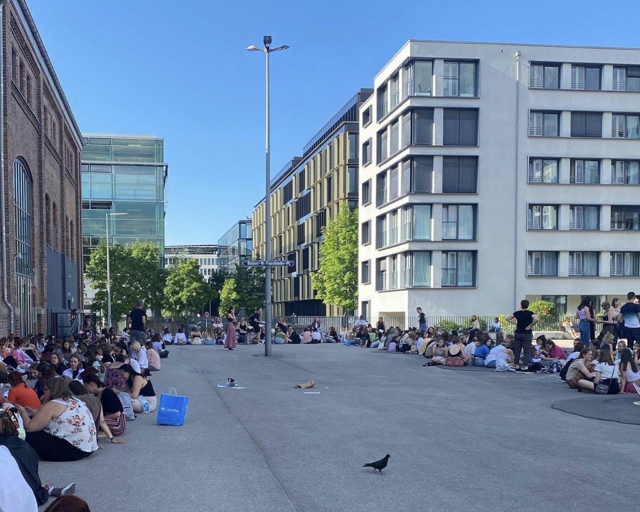 Saying Goodbye To Concert Chaos – ROARA Magazine